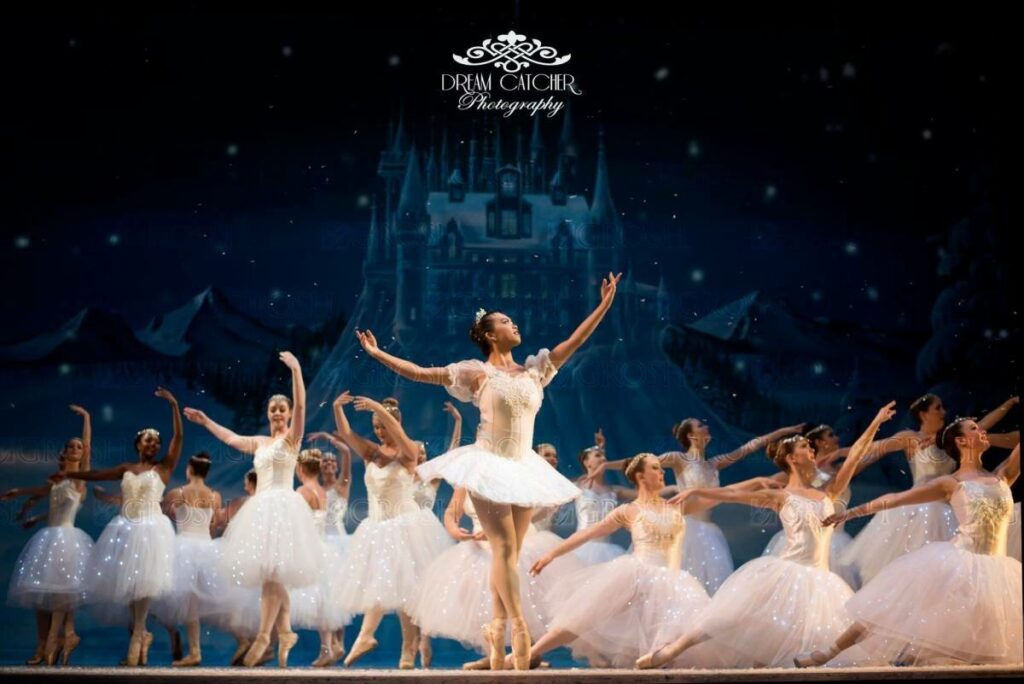 The Greatest Backdrops from Frozen – Grosh Backdrops